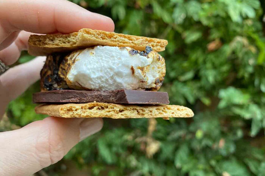 The Best Vegan S’mores Recipe to Make You Smile | Joivert
